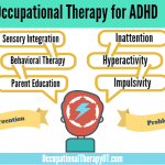 Model of Human Occupation (MOHO) Frame of Reference